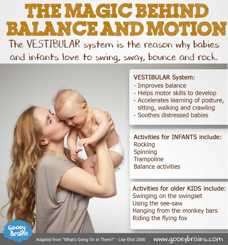 The Vesibular system | The key to balance and motion